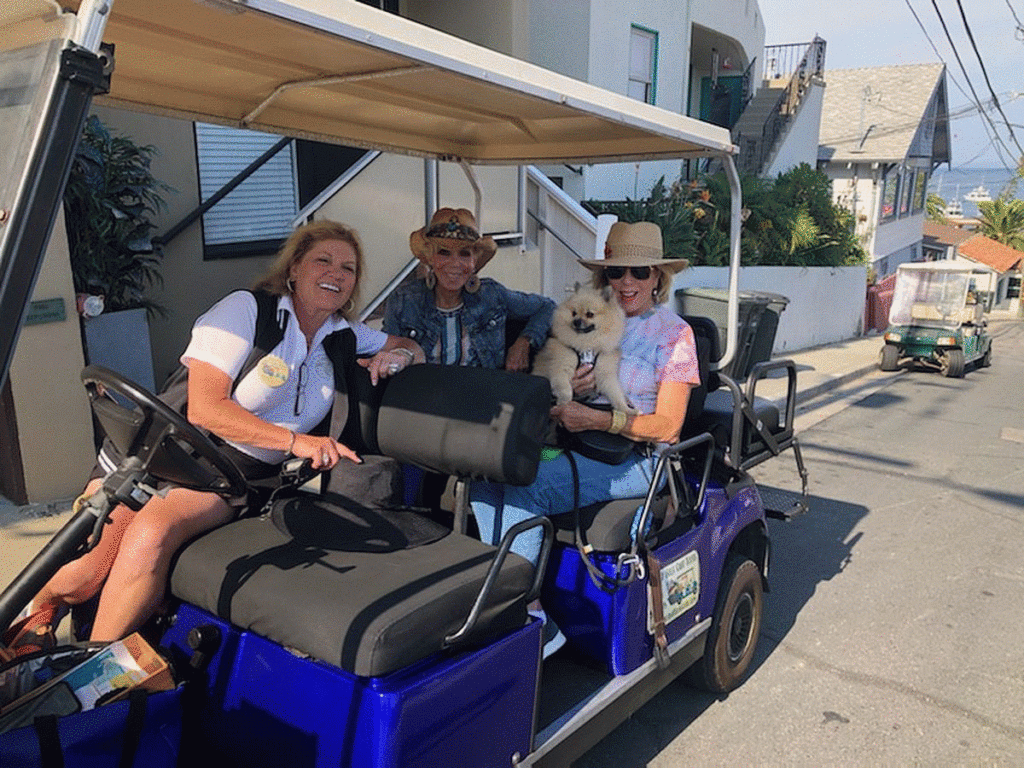 Touring Catalina – Guided Golf Cart Tours